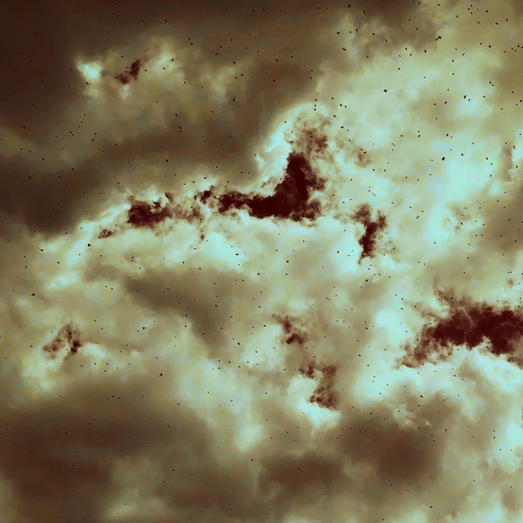 ⚔ 𝔉𝔦𝔤𝔥𝔱 𝔬𝔯 𝔉𝔩𝔦𝔤𝔥𝔱 ⚔